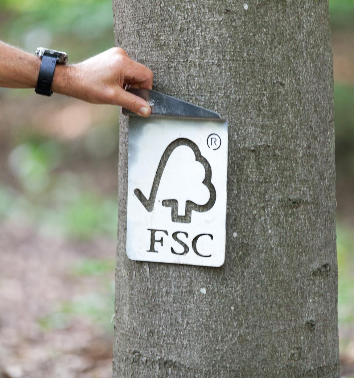 FSC商標ポータルのサーバー移行について | Forest Stewardship Council