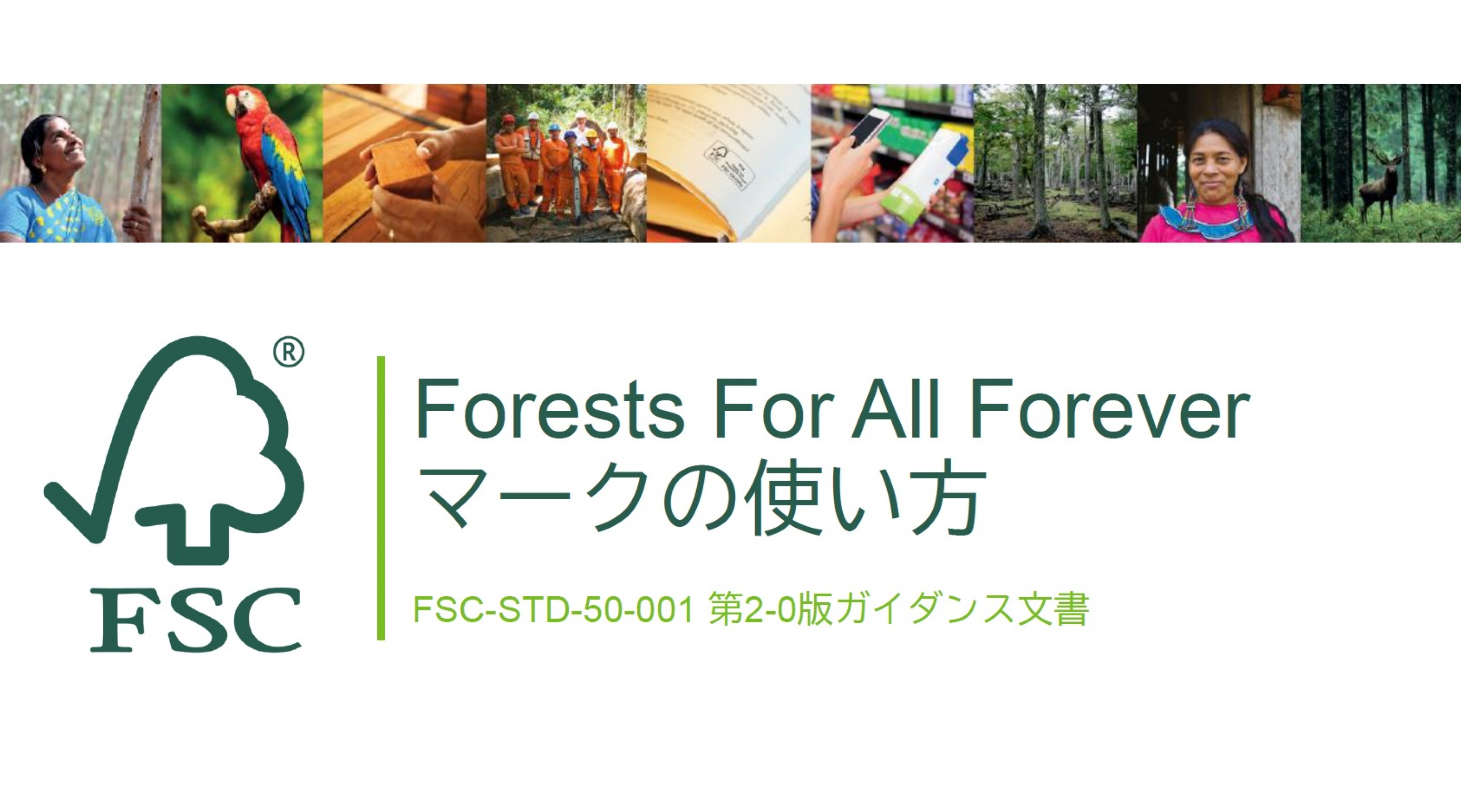 Forests For All Foreverマークの使い方ガイドの紹介 | Forest Stewardship Council